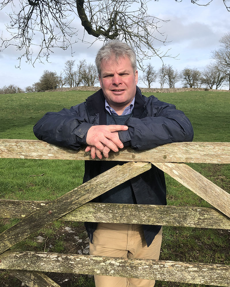 Auction Rooms | Killens